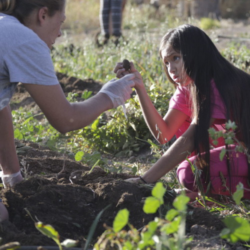 About - A Philanthropic Foundation Since 1985